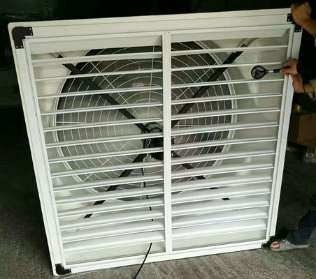 wall mounted fiberglass cone exhaust fan supplier