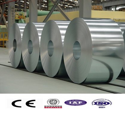 Trade Assurance PPGI coil color coated steel coil RAL 8091 from China