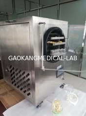 China factory price food freeze dryer/vacuum freeze dryer china/freeze drying Lyophilizer Machine for Instant coffee supplier