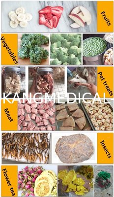 Commercial Fruit Drying Machine Freeze Drying Lyophilizer Pricecommercial freeze drying machine supplier