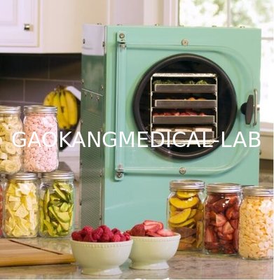 Commercial Fruit Drying Machine Freeze Drying Lyophilizer Pricecommercial freeze drying machine supplier