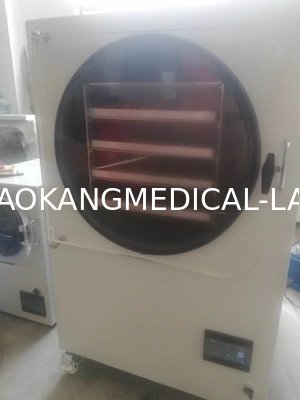factory price food freeze dryer/vacuum freeze dryer china/freeze drying Lyophilizer Machine for Instant coffee supplier