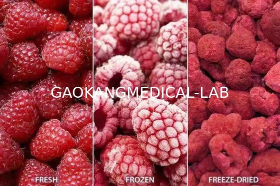 Commercial fruit &vegetabledrying machine/Freeze dryer lyophilizer/Lyophilizer equipment supplier