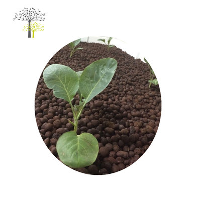 hydroponic clay balls