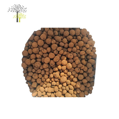 clay pebbles for home depot