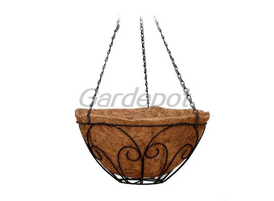 Hanging Basket