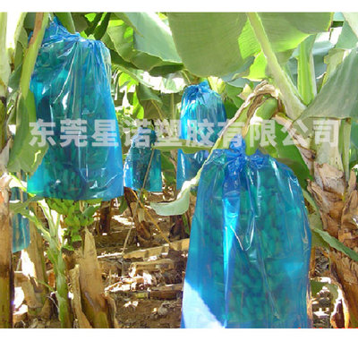 Plastic PE Banana  Bunch Protection bag