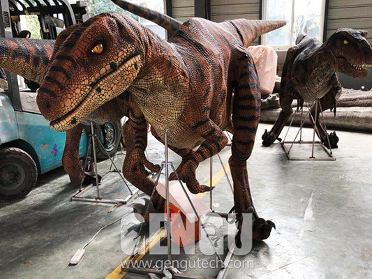 Velociraptor Costume(#GG-1961) Velociraptor Dinosaur Costume