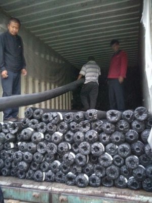 80g - 600g Polypropylene Woven Geotextile Fabric White / Black Color Grass Root Protection