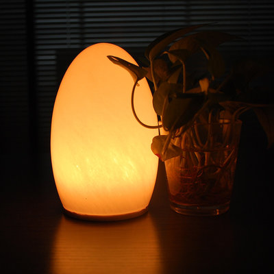 Größe 12 * hat Glas-LED Schreibtischlampe Φ H18cm die Umweltschutzgebührenfunktion.