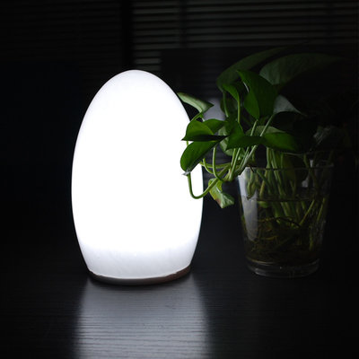 Größe 12 * hat Glas-LED Schreibtischlampe Φ H18cm die Umweltschutzgebührenfunktion.