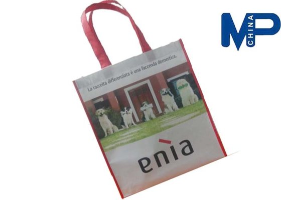 Wasserdichte Einkaufstasche des Lebensmittelgeschäft-pp., dauerhafte HAUSTIER Einkaufstasche mit innerer kleiner Tasche
