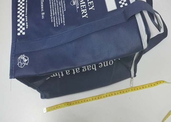 Polyester Colorful Stripe Insulated Outdoor Freezer Cooler Bag for outdoor lunch