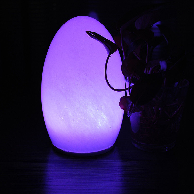 Größe 12 * hat Glas-LED Schreibtischlampe Φ H18cm die Umweltschutzgebührenfunktion.