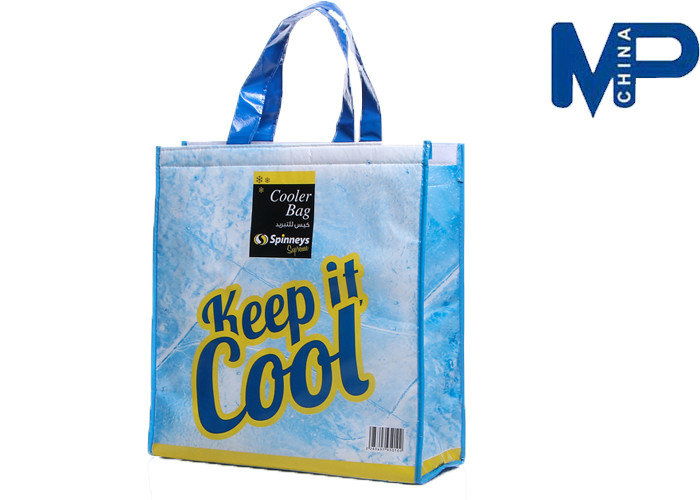 Fashion travel cooler bag , non woven fabrics shopping ice bag for packing