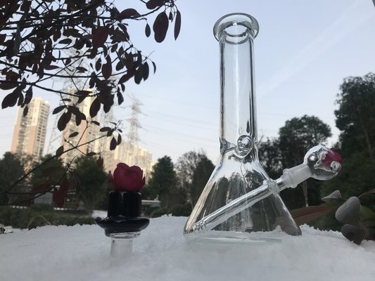Fixed Diffused Glass Smoking Tubes Fixed Diffused 14mm Male Joint Mini Beaker Glass Bongs