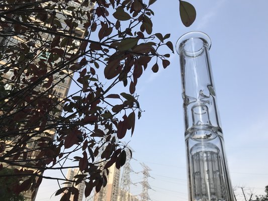 Double 5 Tree Arms Percolator Bubbler Pipe , Custom Straight Glass Beaker Bongs