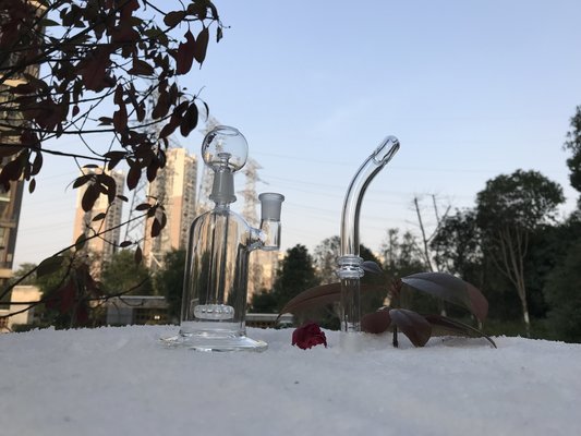 Double Perc DAB Oil Rigs , 7 Inches Oil Rig Sheldon Smoking Water Pipe In 14.4mm
