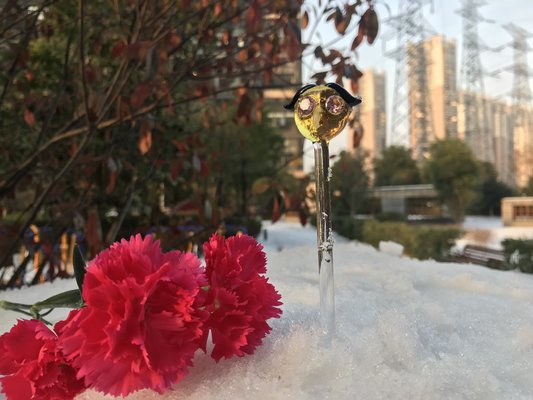 Clear Crystal Quartz Carb Cap Carving Tool , Carb Cap Dabbers For Glass Water Smoking Pipe