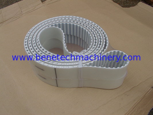 Timing belt, timing belt for machine