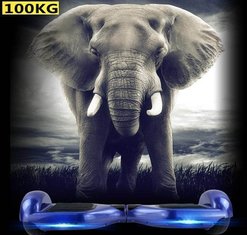 China Dual Wheels Onewheel  Self Balancing Electric Scooter A3 X3 X2 Skateboard GK-F9 supplier