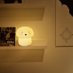 China ALL IN 1 Brand NEW Portable Rechargable Flashlight Night light Table night LJC-119 supplier