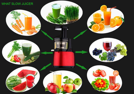 Fruit vegetable Multifunctional big mouth AC Induction slow juicer PU-006/PU-007/PU-008 supplier