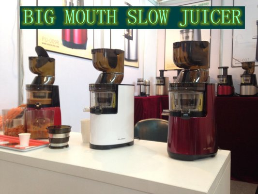Premium Big/Wide Mouth whole AC induction motor 76mm apple slow juicer/Masticating juicer supplier