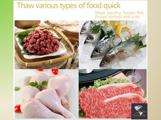 New Design HealthySeaFood Mini Aluminium Material Magic meat quick Thawing Defrosting Tray supplier