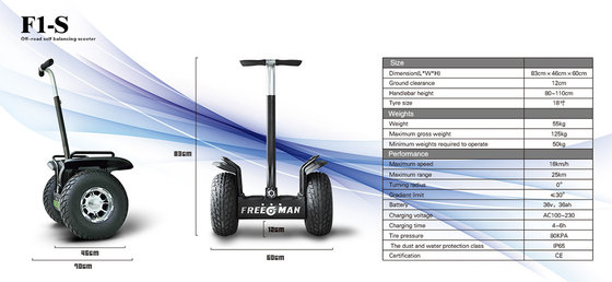 Freeman Aftermarket 2 wheel off-road seyway style self balancing electric scooter GK-F1-S supplier