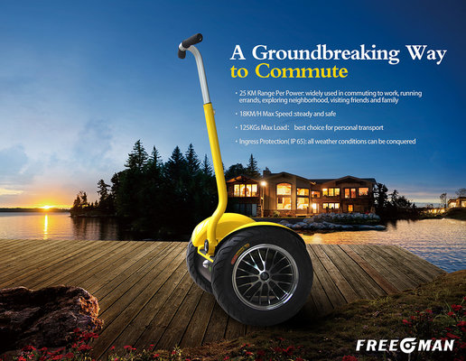 FREEMAN Foldablewith LED Lights Long Range Two Wheel seyway style Electric Scooter GK-F1-C supplier