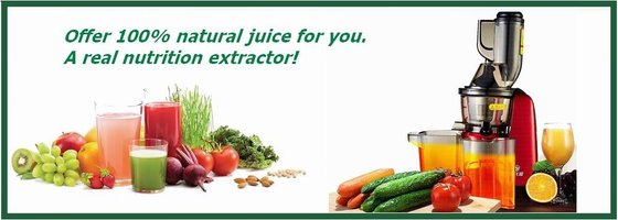 Patented 43RPM Big/Wide Mouth whole AC induction motor 76mm slow juicer BPA FREE HH-918 supplier