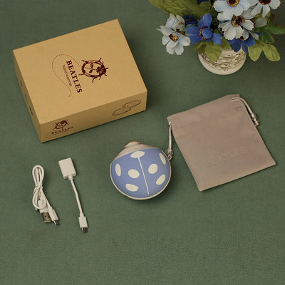 NEW Design Beetle night light hand warmer GK-AG28 supplier