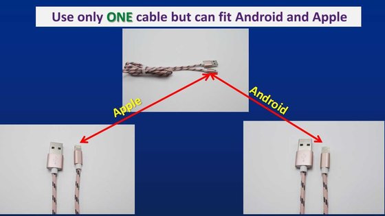 LM CABLE for  both Lighting and Micro USB devices ANDROID and  APPLE GK-LM01 supplier
