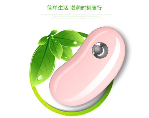 Beauty Facial Hydrating Skin Water Sprayer with Power Bank GK-SP02 supplier