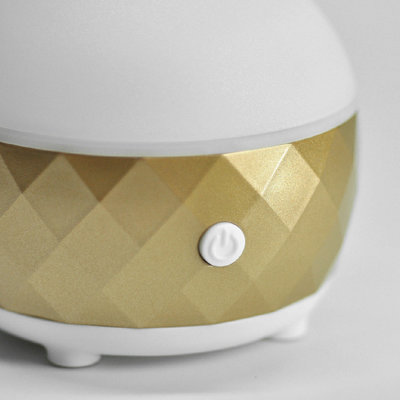 Professional Portable Air Humidifier for Car and Home Oil Aroma Diffuser GK-BA6 supplier