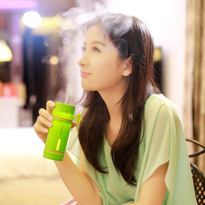 Bamboo LED Night light Portable Air Humidifier for Car and Home Oil Aroma Diffuser Sprayer UH018 supplier