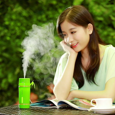 Bamboo LED Night light Portable Air Humidifier for Car and Home Oil Aroma Diffuser Sprayer UH018 supplier