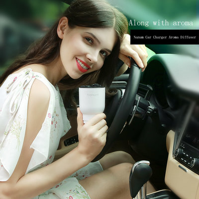 Nanum Professional Portable Car  Air Humidifier for Car Oil Aroma Diffuser GK-CA08 supplier