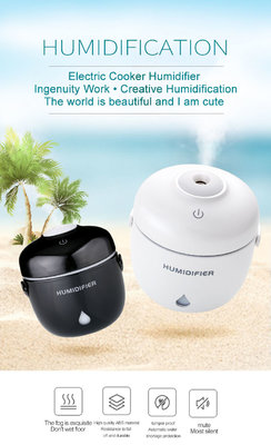 Professional Electric Cooker Portable Air Humidifier for Car and Home Oil Aroma Diffuser GK-WX001 supplier