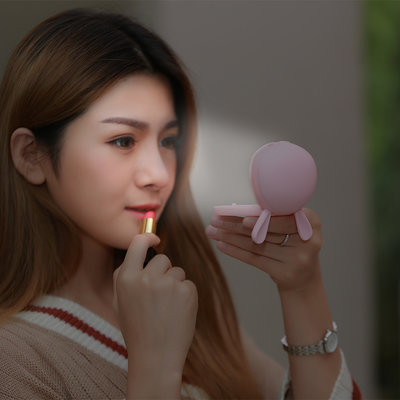 3 iN 1 Lovey Rabbit Light Mirror & Hand Warmer HW-315 supplier
