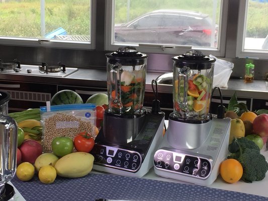 OZEN Vacuum Blender / Vidia Vacuum Blender/ Kuving vacuum blender / Vacuum storage bottle /BPA FREE Manufacture BL-02 supplier