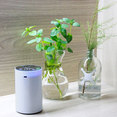 OIL and Perfume USB Essential Oil Ultrasonic Dry electric fragrance Diffuser Humidifier GK-HAD-10005 supplier