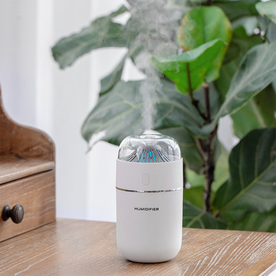 7 Color Changing LED Light Aromatherapy Essential Oil Diffuser air ultrasonic humidifier Light Wood color GXZ-J629 supplier