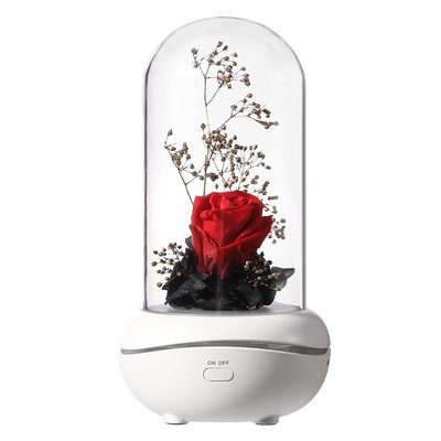Real Flower ultrasonic essential oil humidifier aromatherapy diffuser with usb GK-E-X005 supplier