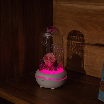 Real Flower ultrasonic essential oil humidifier aromatherapy diffuser with usb GK-E-X005 supplier