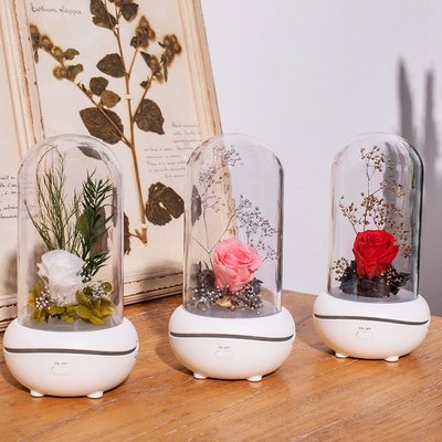 Real Flower ultrasonic essential oil humidifier aromatherapy diffuser with usb GK-E-X005 supplier
