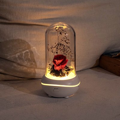 Real Flower ultrasonic essential oil humidifier aromatherapy diffuser with usb GK-E-X005 supplier