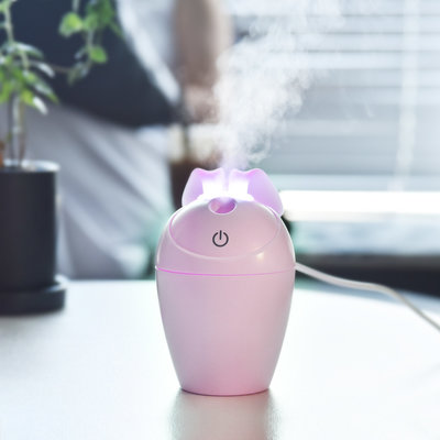 New Product Ideas 2019 USB Essential Oil new product ultrasonic mist maker air essential oils diffuser GK-LJH-017 supplier