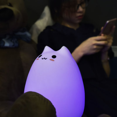 ALL IN 1 Brand NEW Portable Rechargable Flashlight Night light Table night LJC-123 supplier